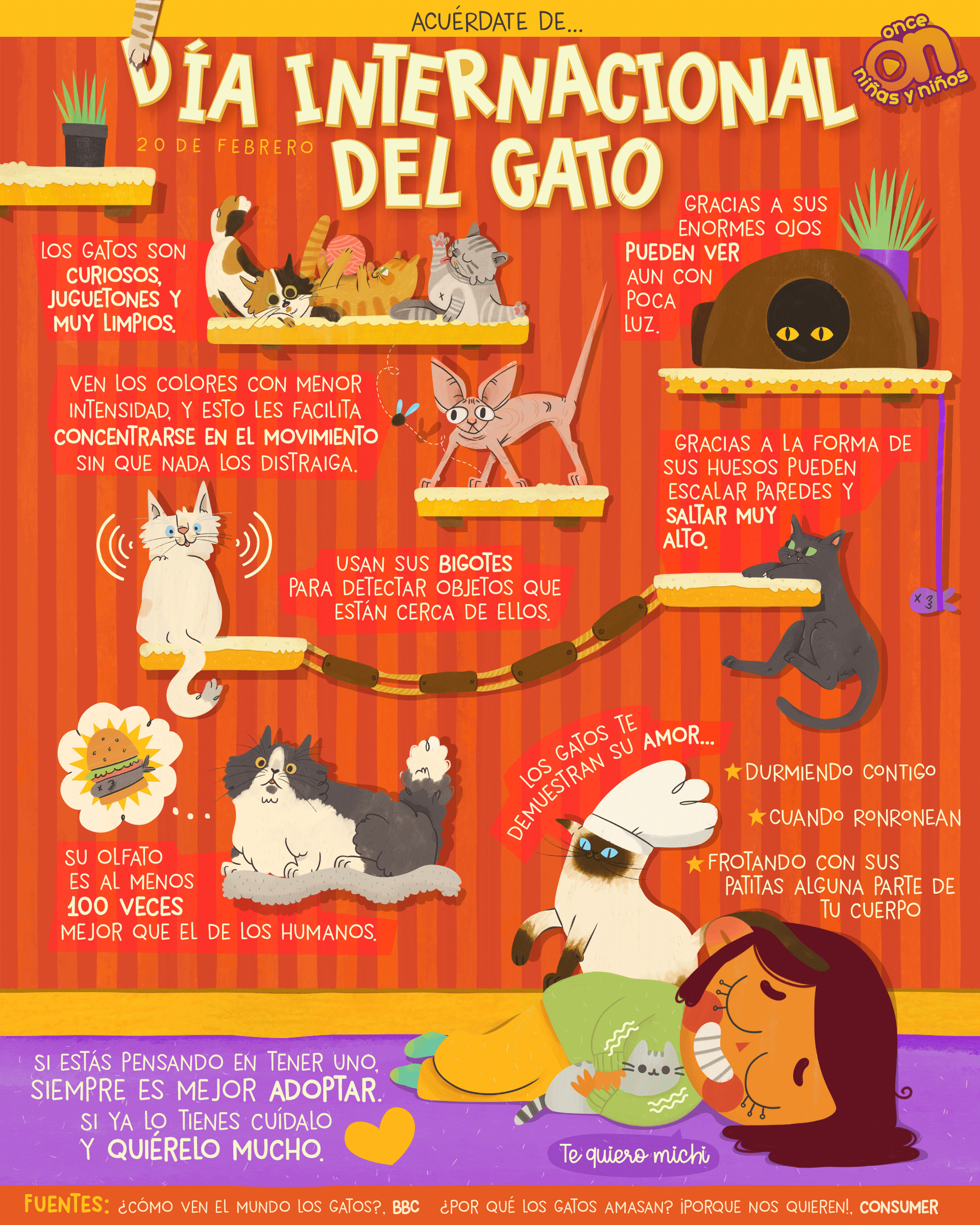 Día Internacional del Gato – Once Niñas y Niños
